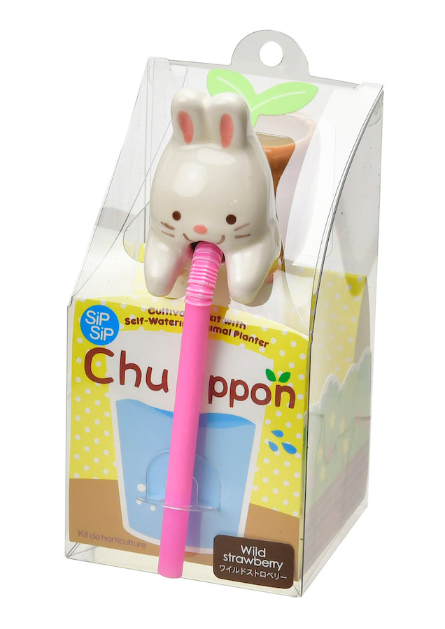 Chuppon - Sipping Animal Planters!