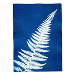 Sunography - Amazing Solar Powered Photography - Made in USA