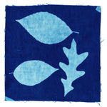 Sunography - Amazing Solar Powered Photography - Made in USA